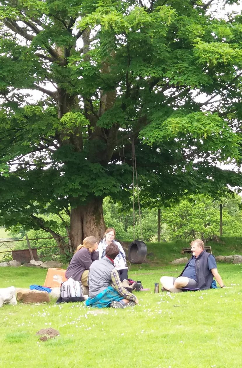 Nature Culture, an Introduction to the 8 Shields and deep nature ...